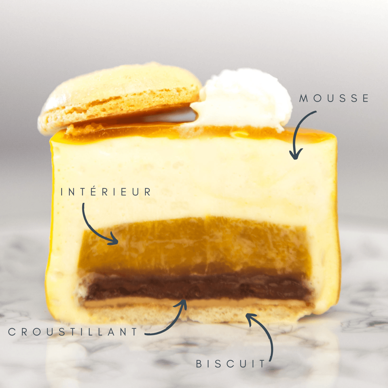 Entremets 10 Parts - Pâtisserie Georgette